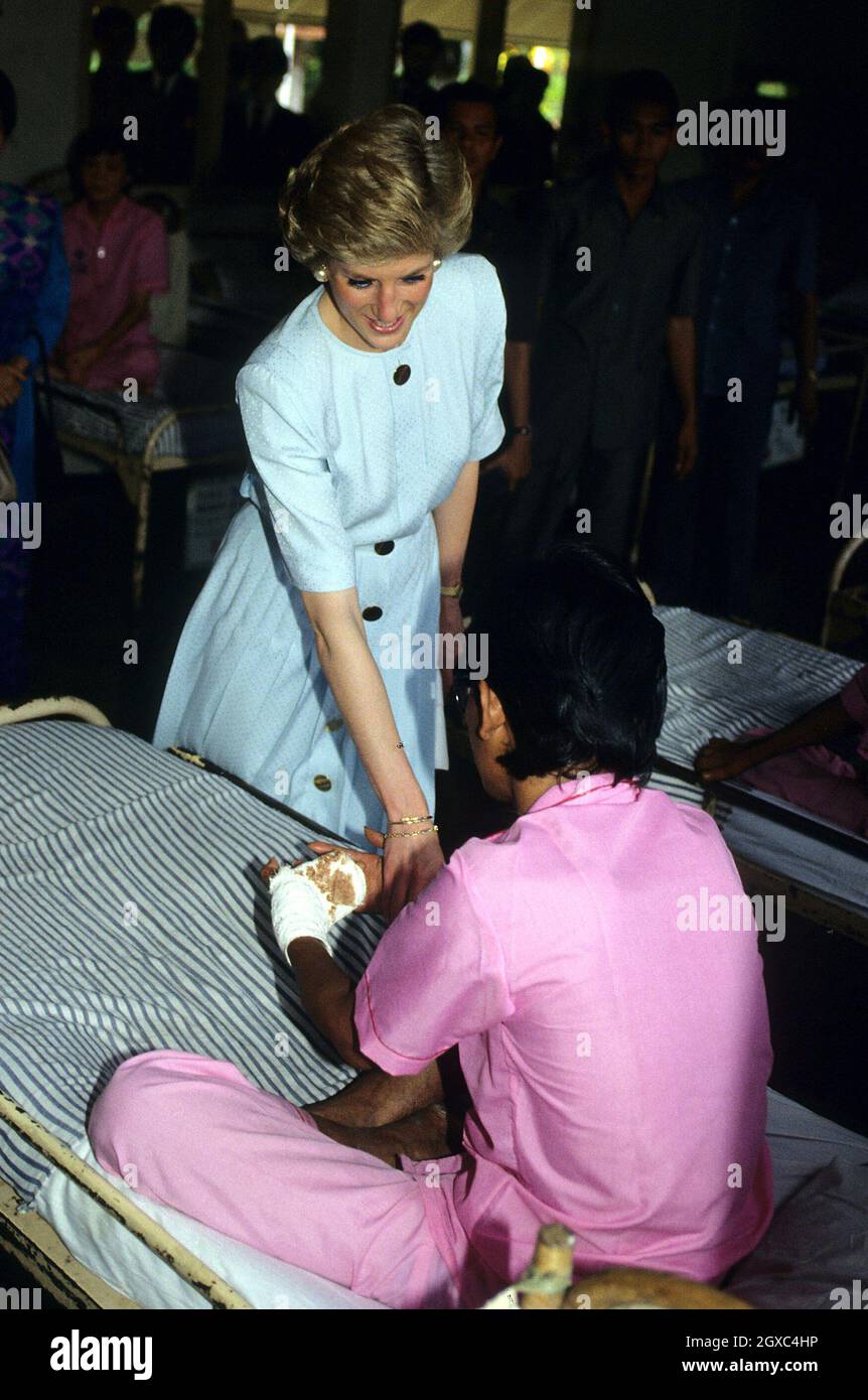 Diana princess of wales hospital hi-res stock photography and images ...