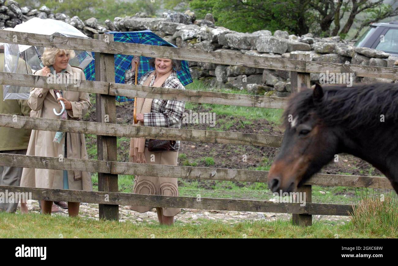 Camilla, Duchess of Cornwall shelters under an umbrella as she braves ...