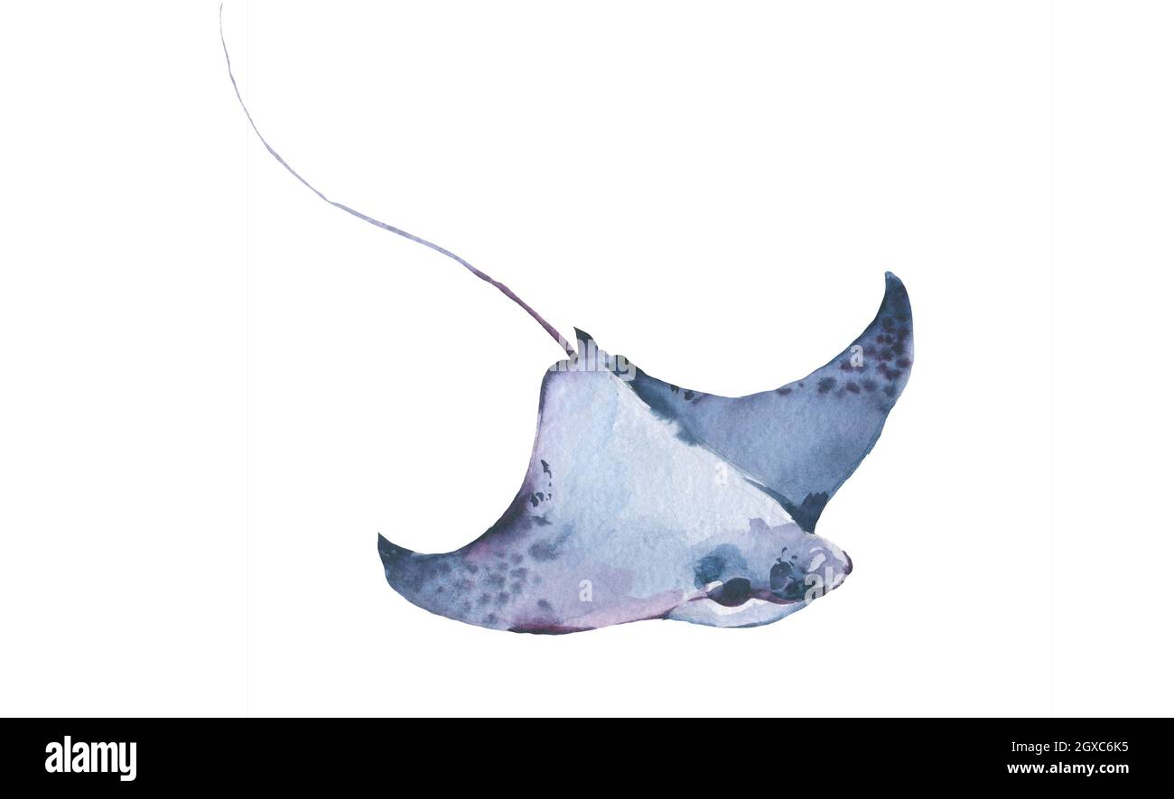 Stingray watercolor collection, Set of sea animals Blue ocean Stingray ...
