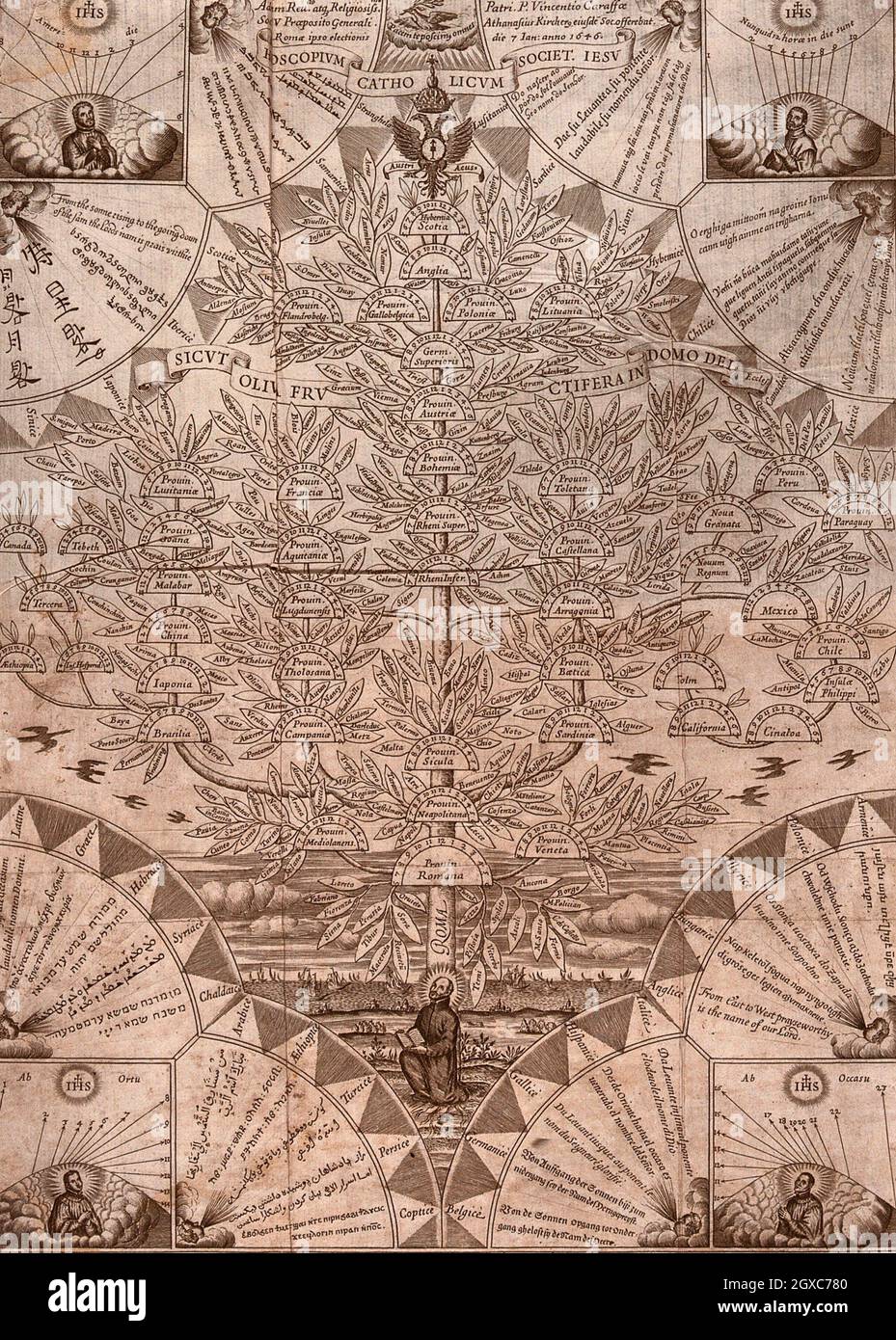 Family Tree Diagram High Resolution Stock Photography and Images - Alamy