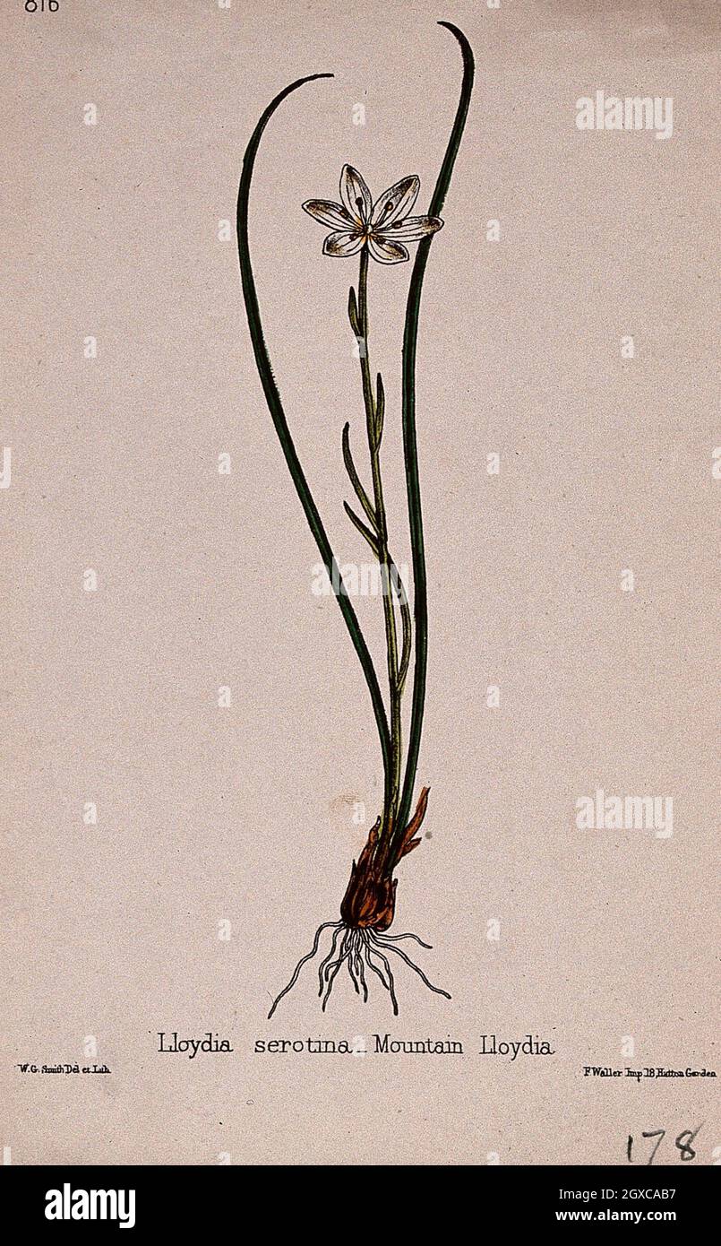 George worthington hi-res stock photography and images - Alamy