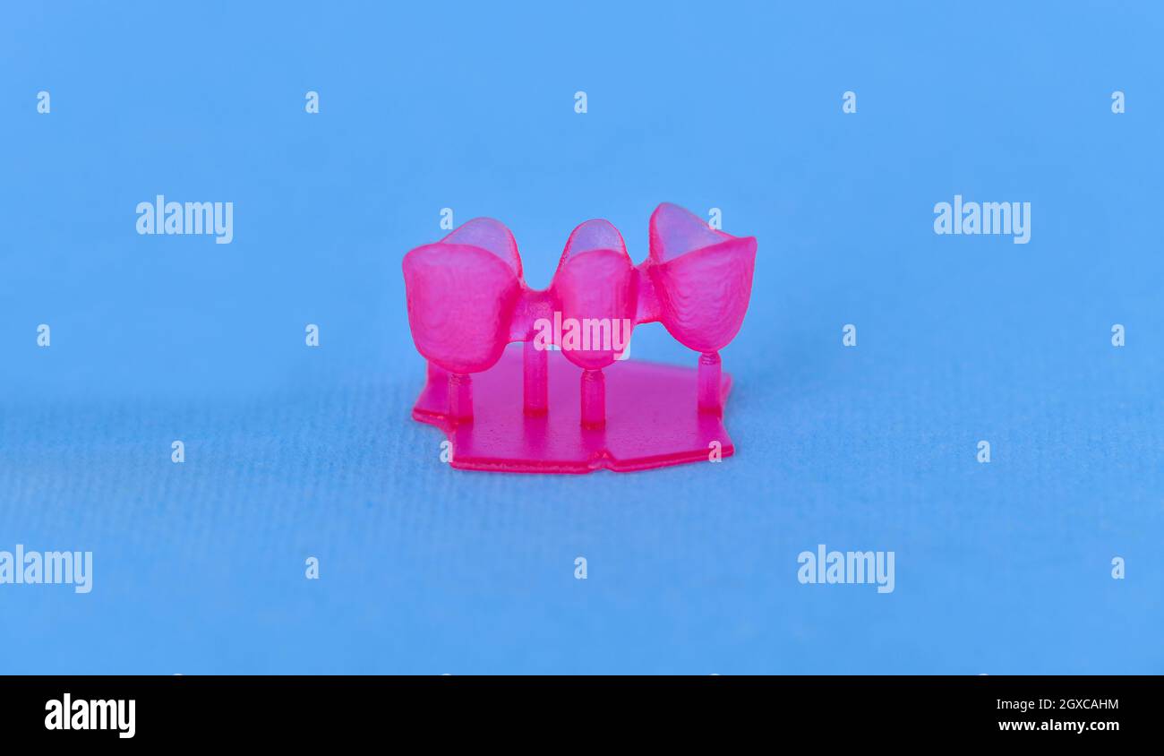 plastic mold for different types of dental tooth crowns isolated on ...