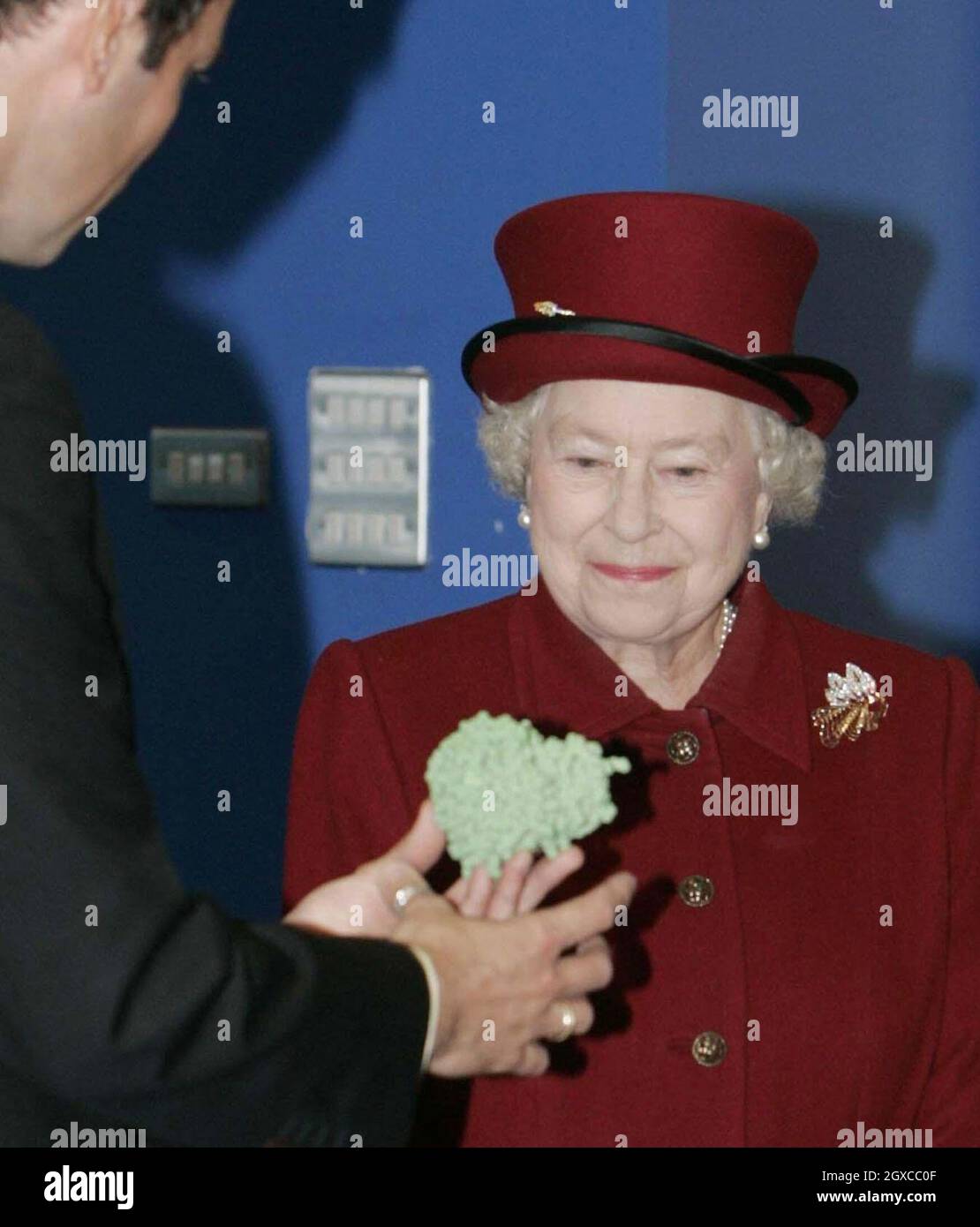 Queen Elizabeth II looks at a model of a flu virus during a visit to ...