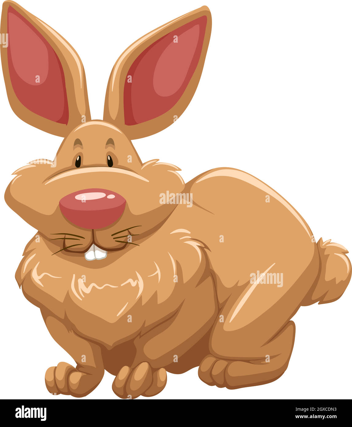 Rabbit school hi-res stock photography and images - Alamy