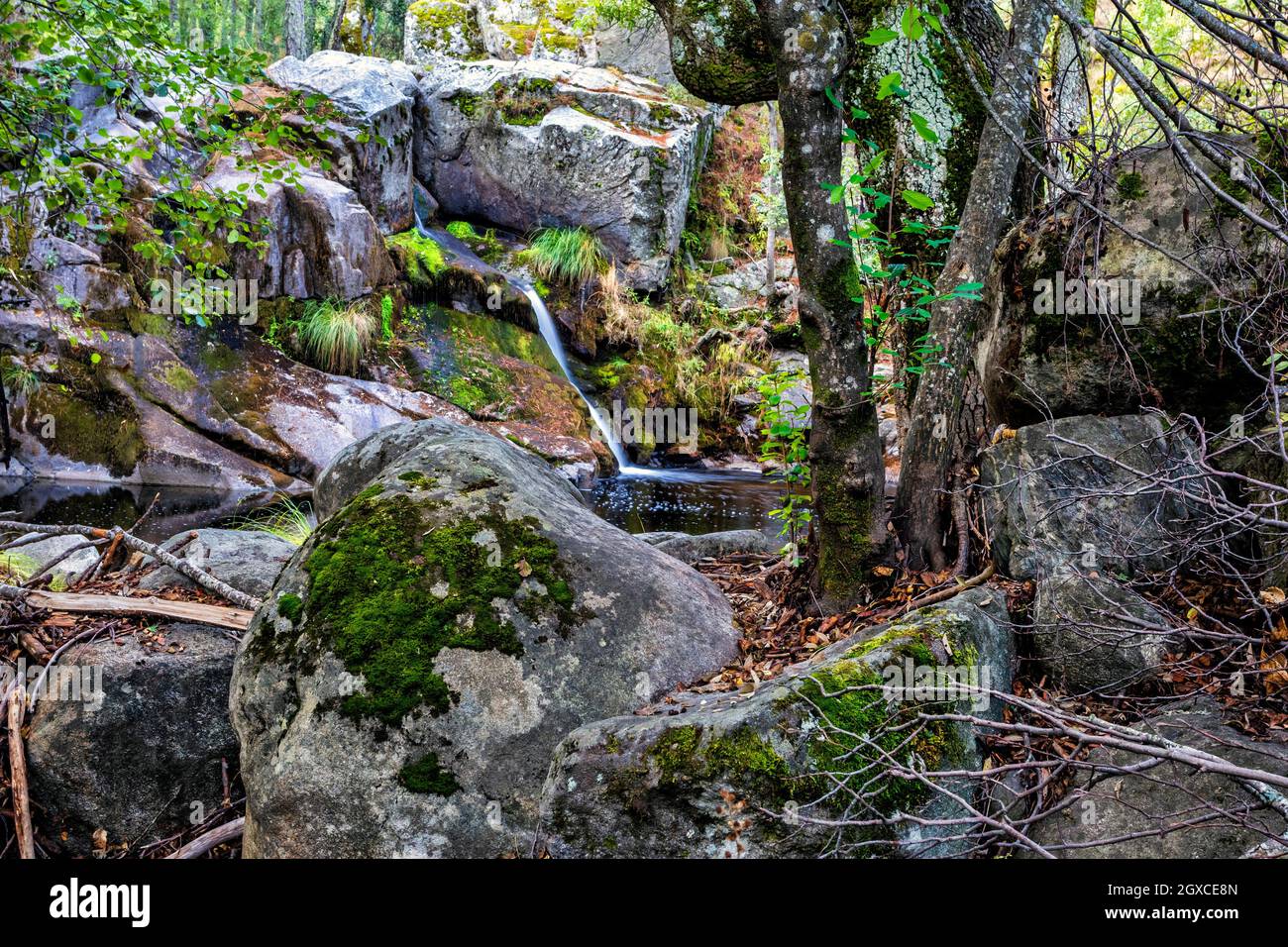 Bushy river hi-res stock photography and images - Alamy