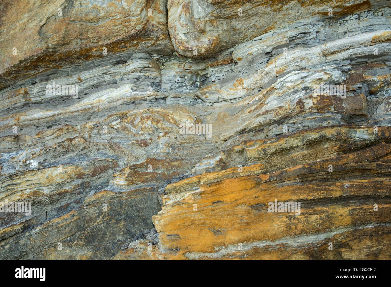 The Dinosaur Coast between Scarborough and Whitby is predominated by ...