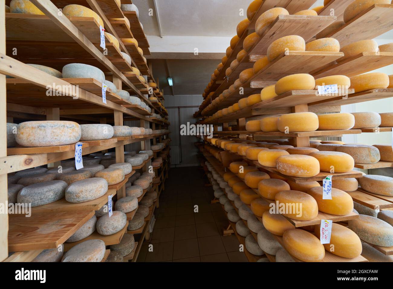 Production cheese creamery tank hi-res stock photography and images - Alamy