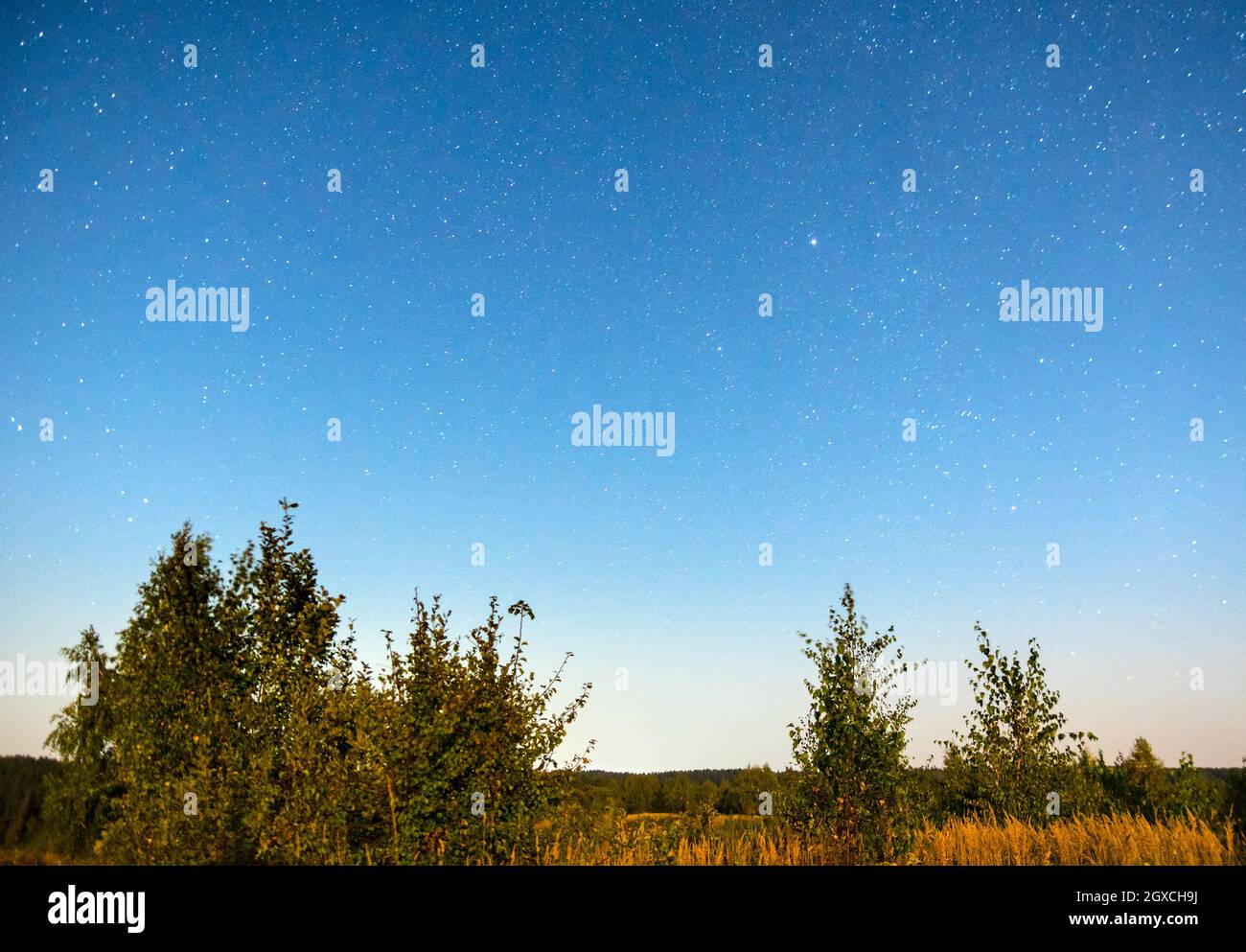 Starry sky and night rural landscape Stock Photo - Alamy