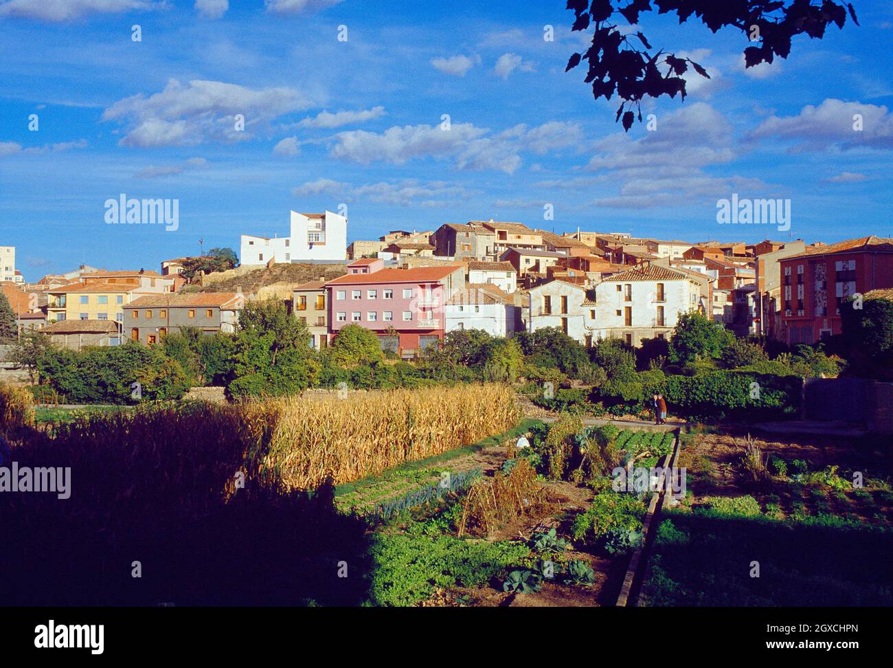 Agriculture overview hi-res stock photography and images - Alamy