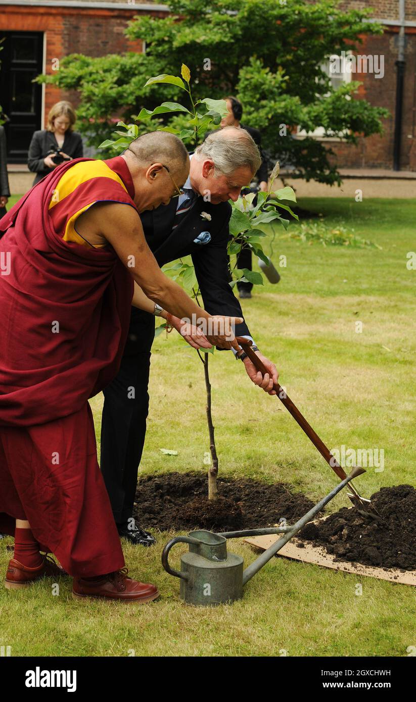 The Dalai Lama plants a tree at Clarence House with Prince Charles ...