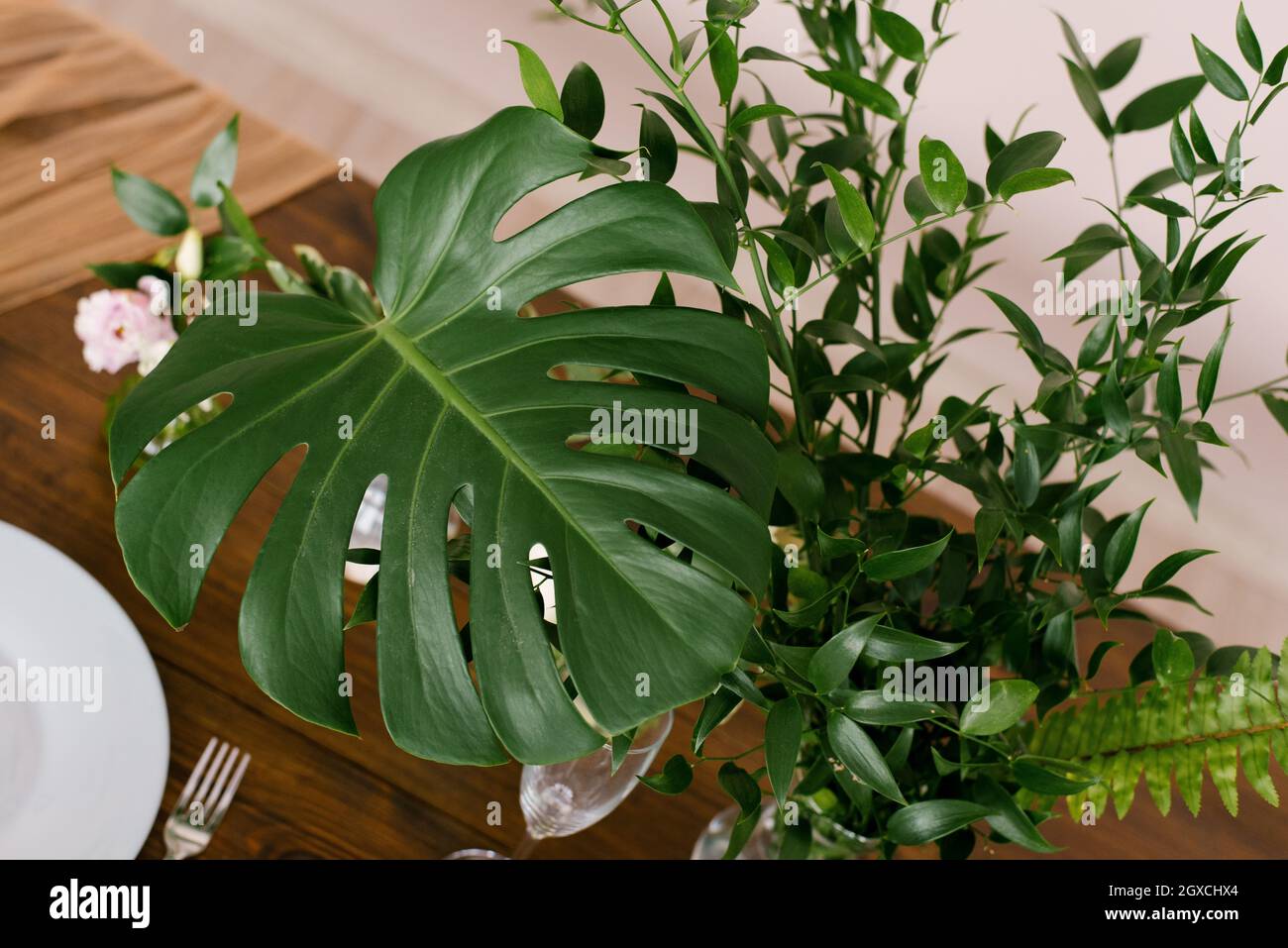 Green monstera leaf and pistachio leaf branches Stock Photo - Alamy