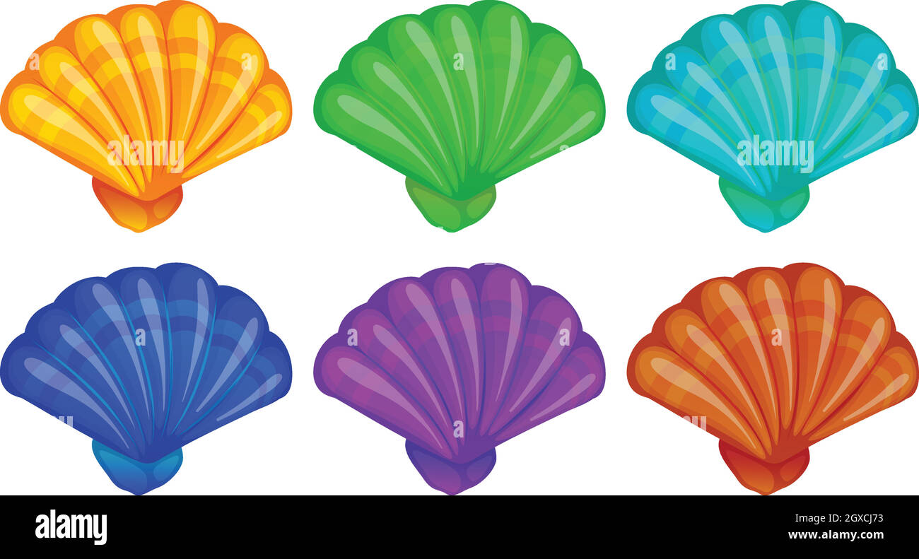 White sand shells background Stock Vector Images - Alamy