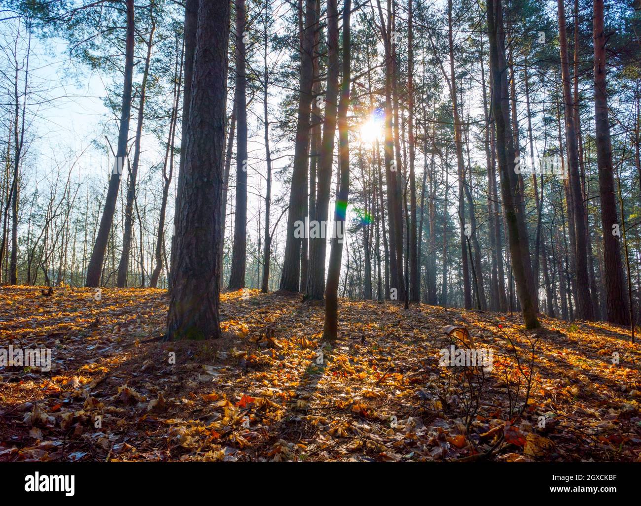 Sunbeam sun hi-res stock photography and images - Alamy