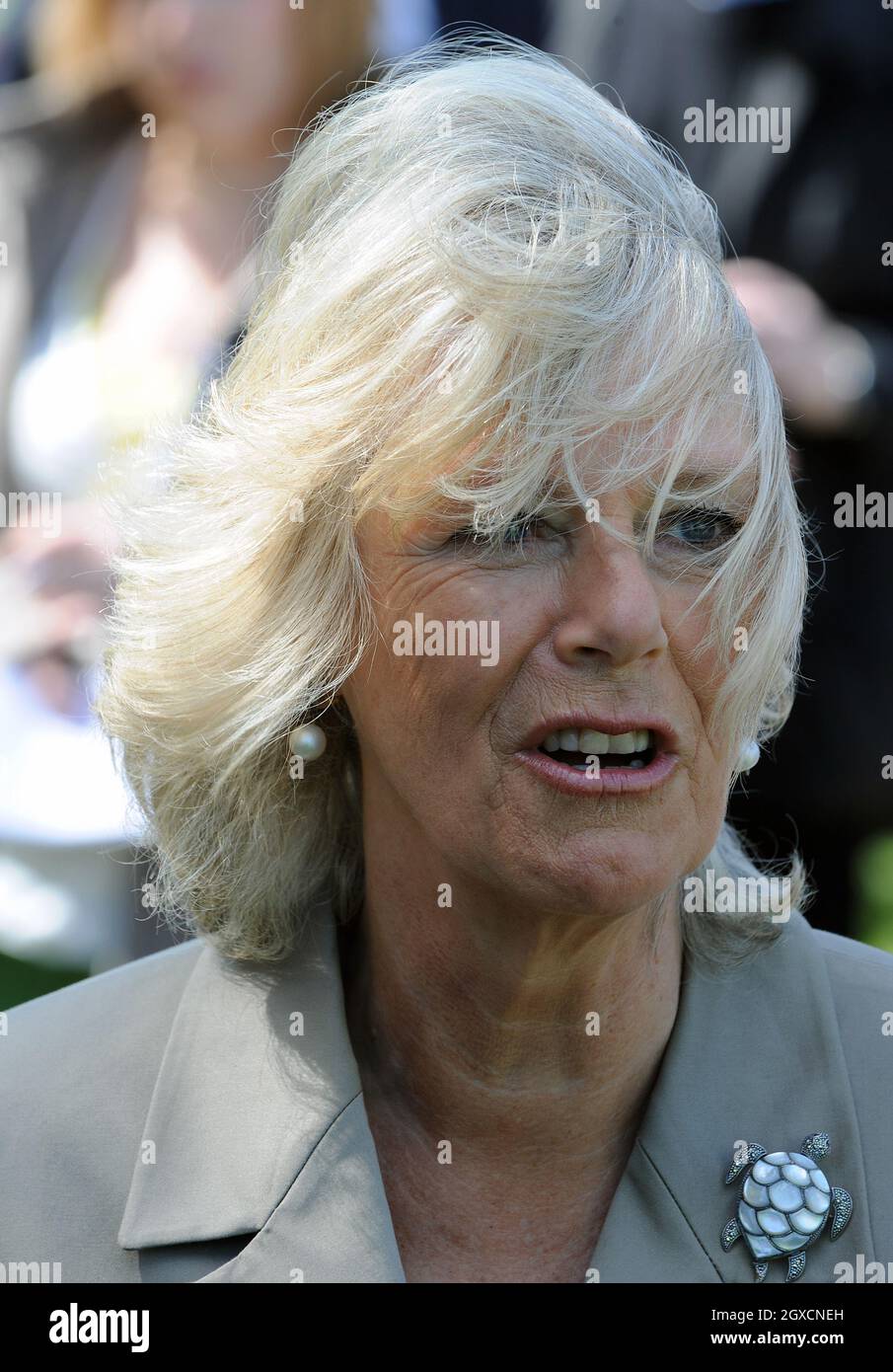 The Duchess Of Cornwall Opens The Restored Double Bridge Part Of The Wilts And Berks Canal In