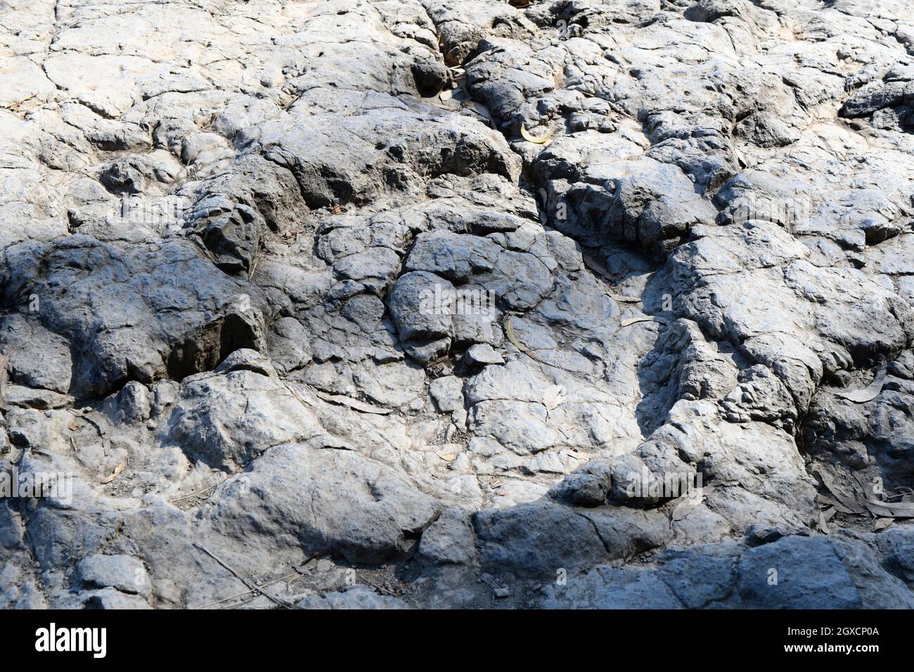 Dinosaur beach hi-res stock photography and images - Alamy