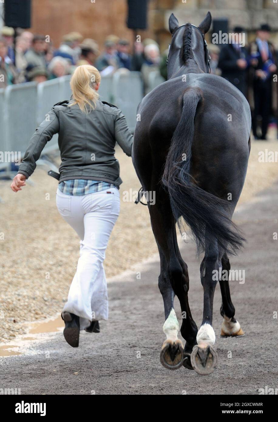 Zara Phillips takes her horse Glenbuck through the first horse ...