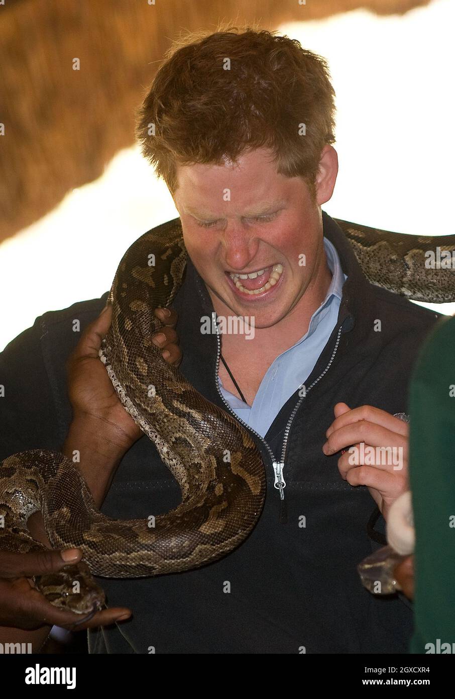 Prince Harry pulls a face as he holds an African rock python during a ...