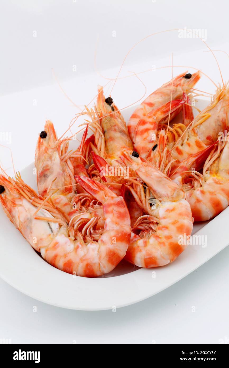 Tray of fresh seafood hi-res stock photography and images - Alamy