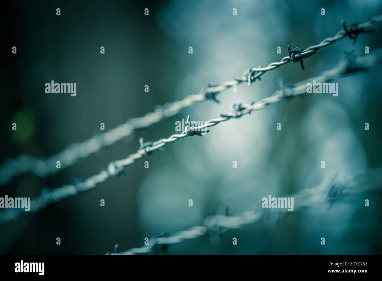 Sharp demarcation hi-res stock photography and images - Alamy