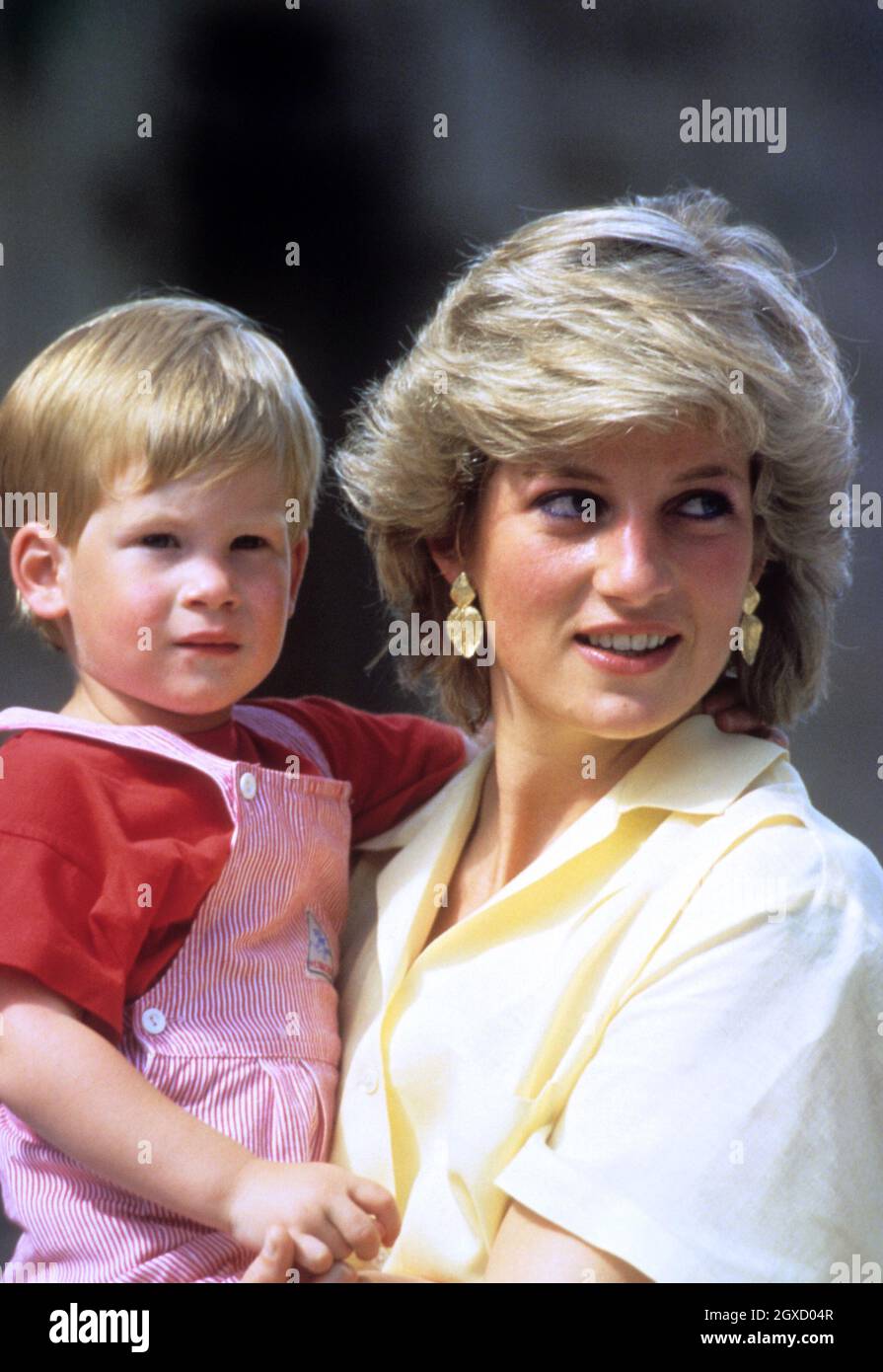 Princess Diana And Her Sons