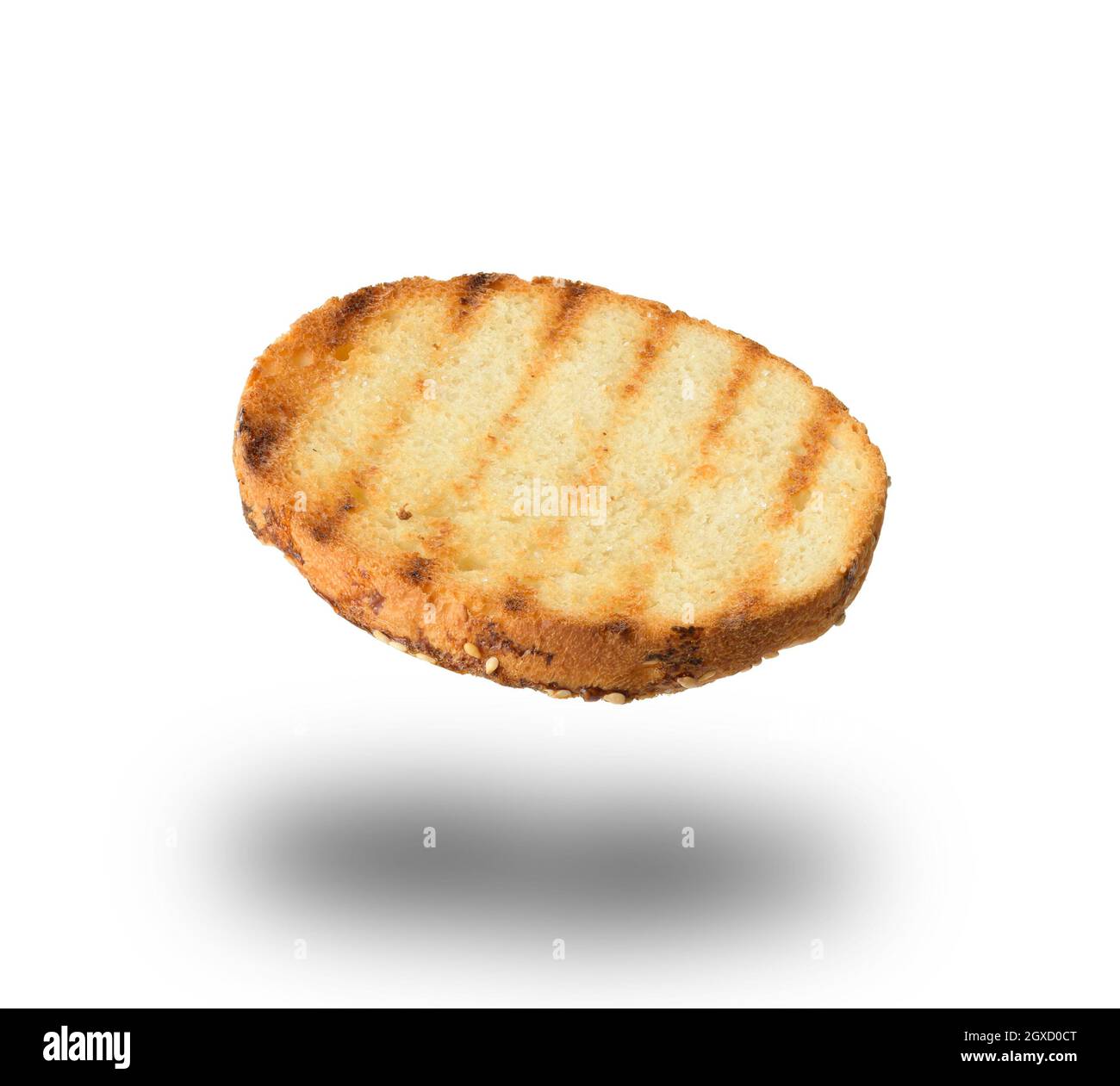 bottom half of a round burger bun, food toasted Stock Photo - Alamy