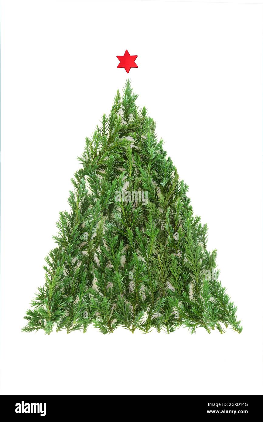 Juniper fir Christmas tree abstract concept shape with red star ...