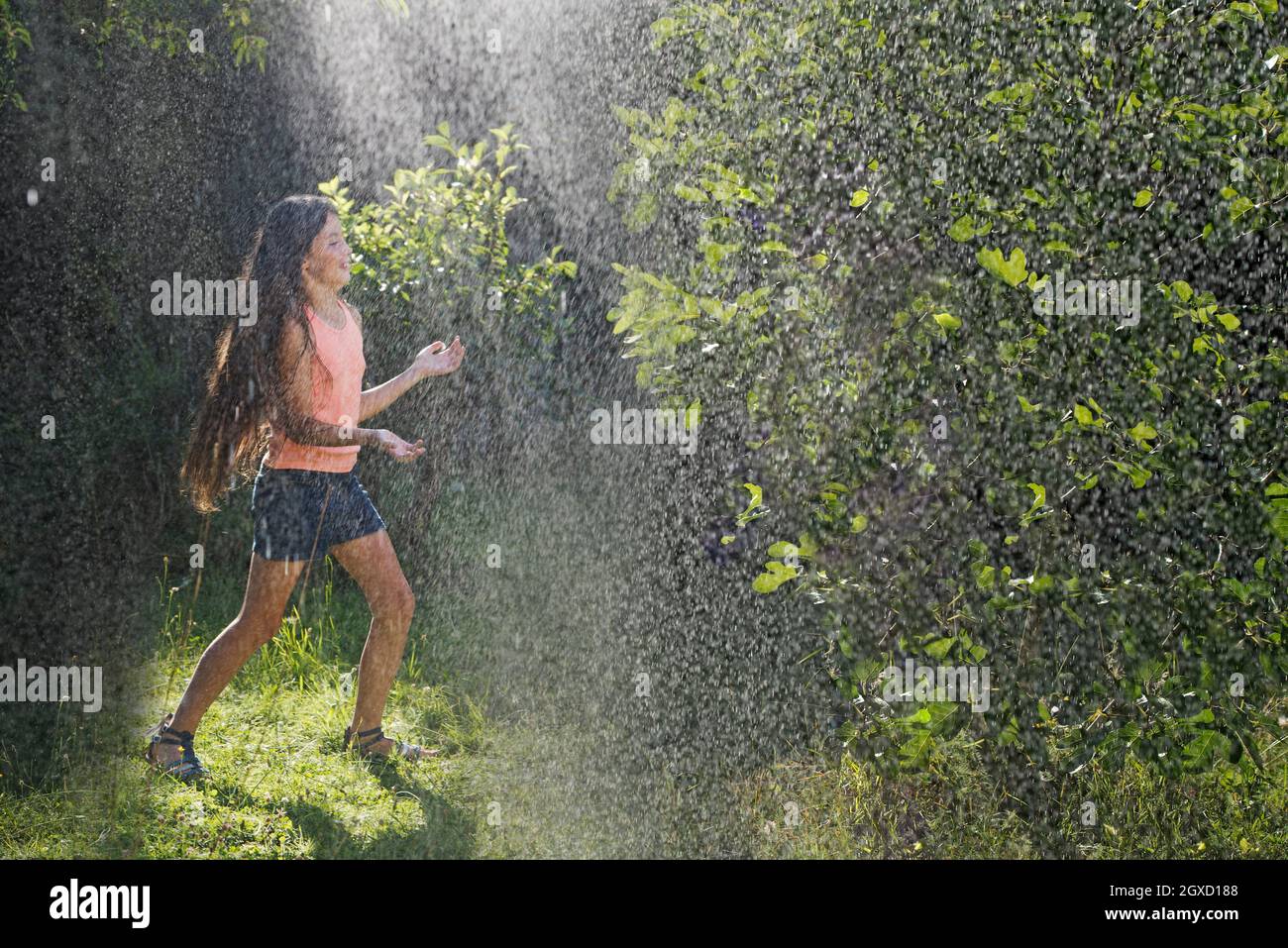 Rain tank hi-res stock photography and images - Alamy
