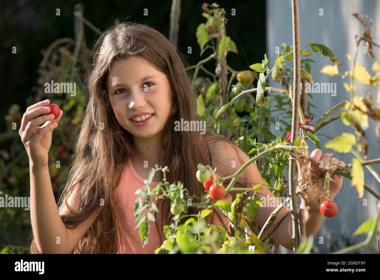 Girl tomato garden hi-res stock photography and images - Alamy