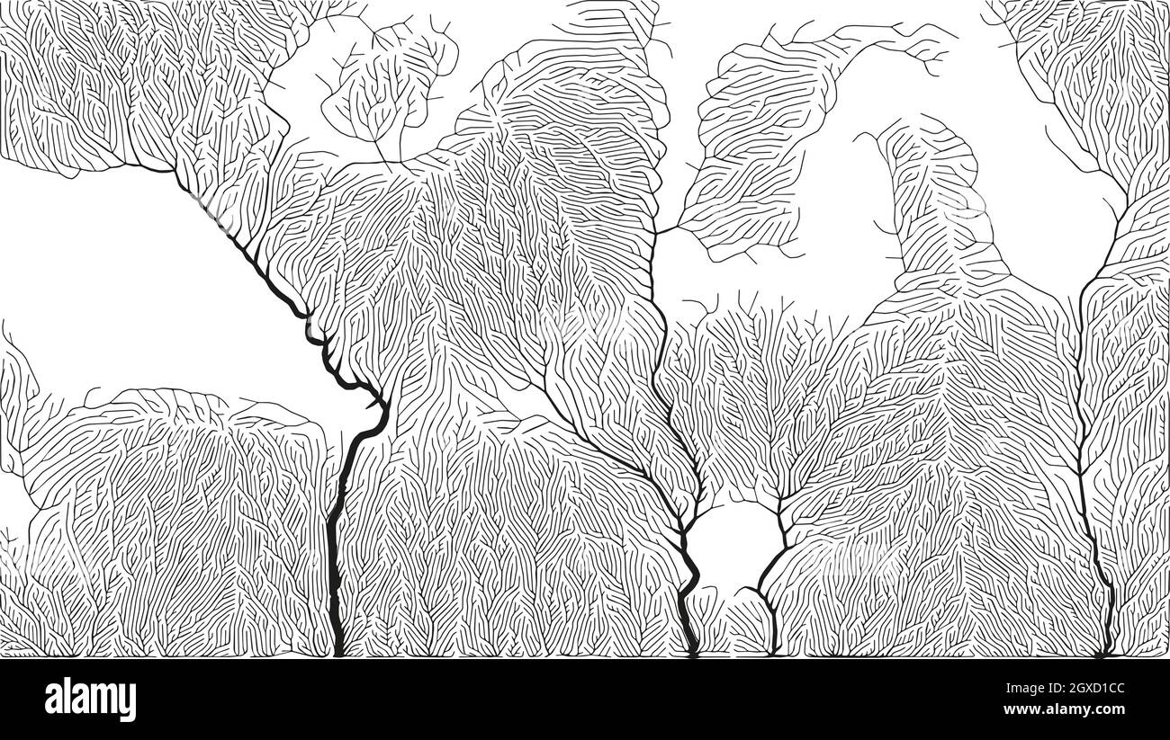Growth pattern. Generative branching structure. Organic net of vessels ...