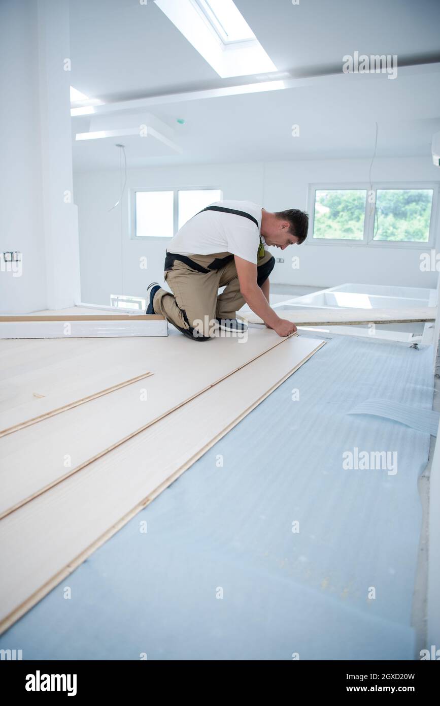 professional carpenter installing new laminated wooden floor in a ...