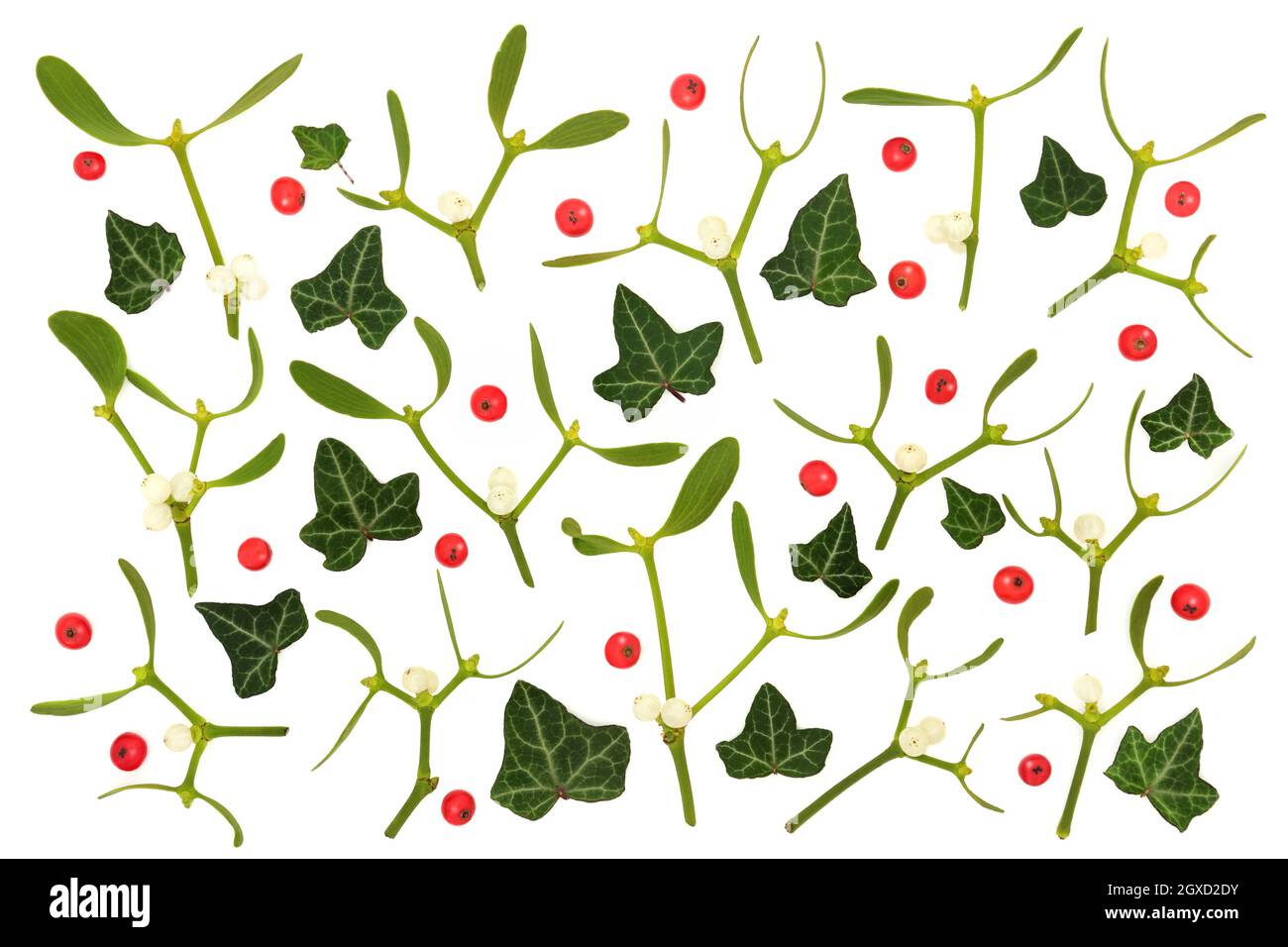Mistletoe, ivy and holly berry abstract background pattern on white ...