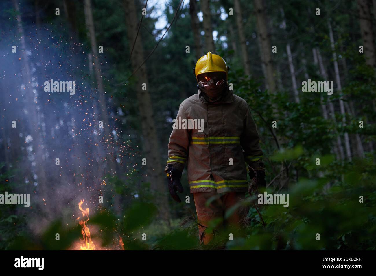 firefighter hero in action danger jumping over fire flame to rescue and ...