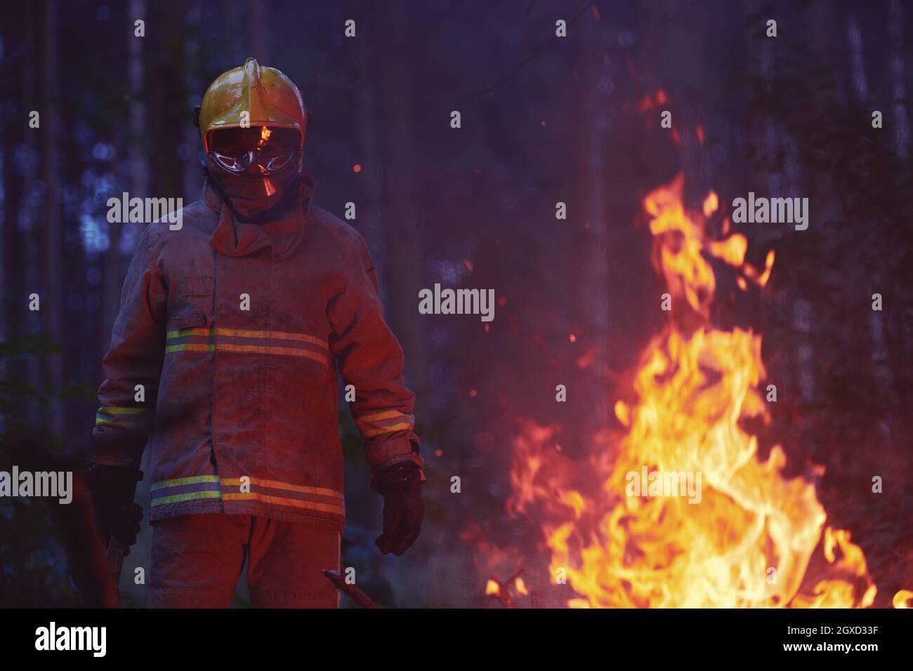firefighter portrait on authentic fire location in forest Stock Photo ...