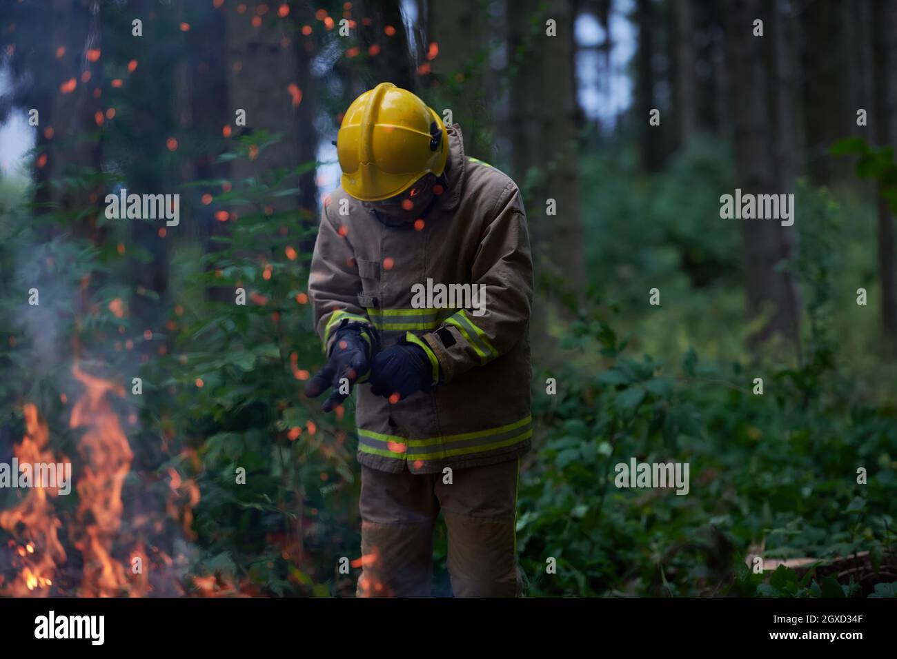 firefighter hero in action danger jumping over fire flame to rescue and ...