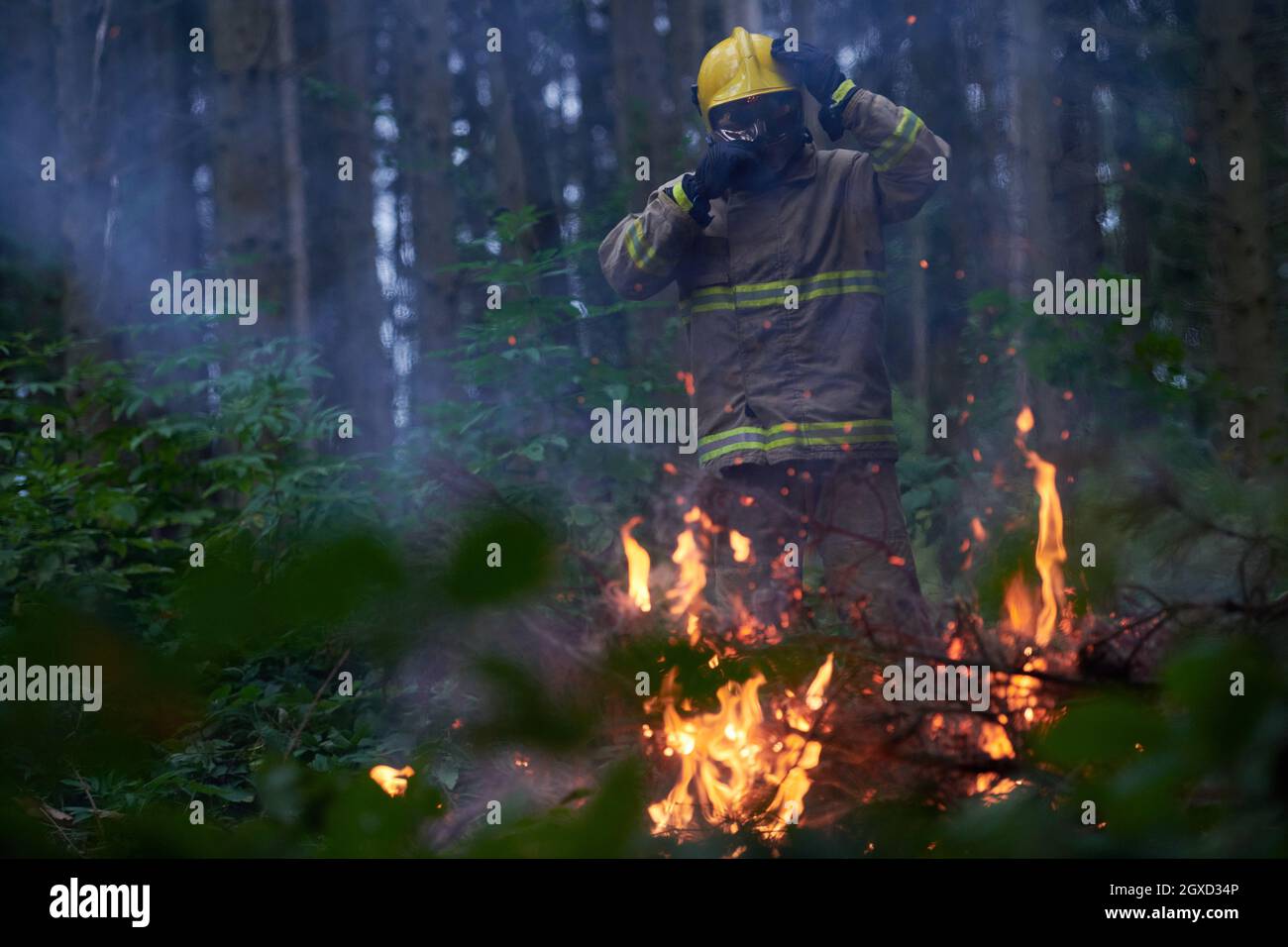 firefighter hero in action danger jumping over fire flame to rescue and ...