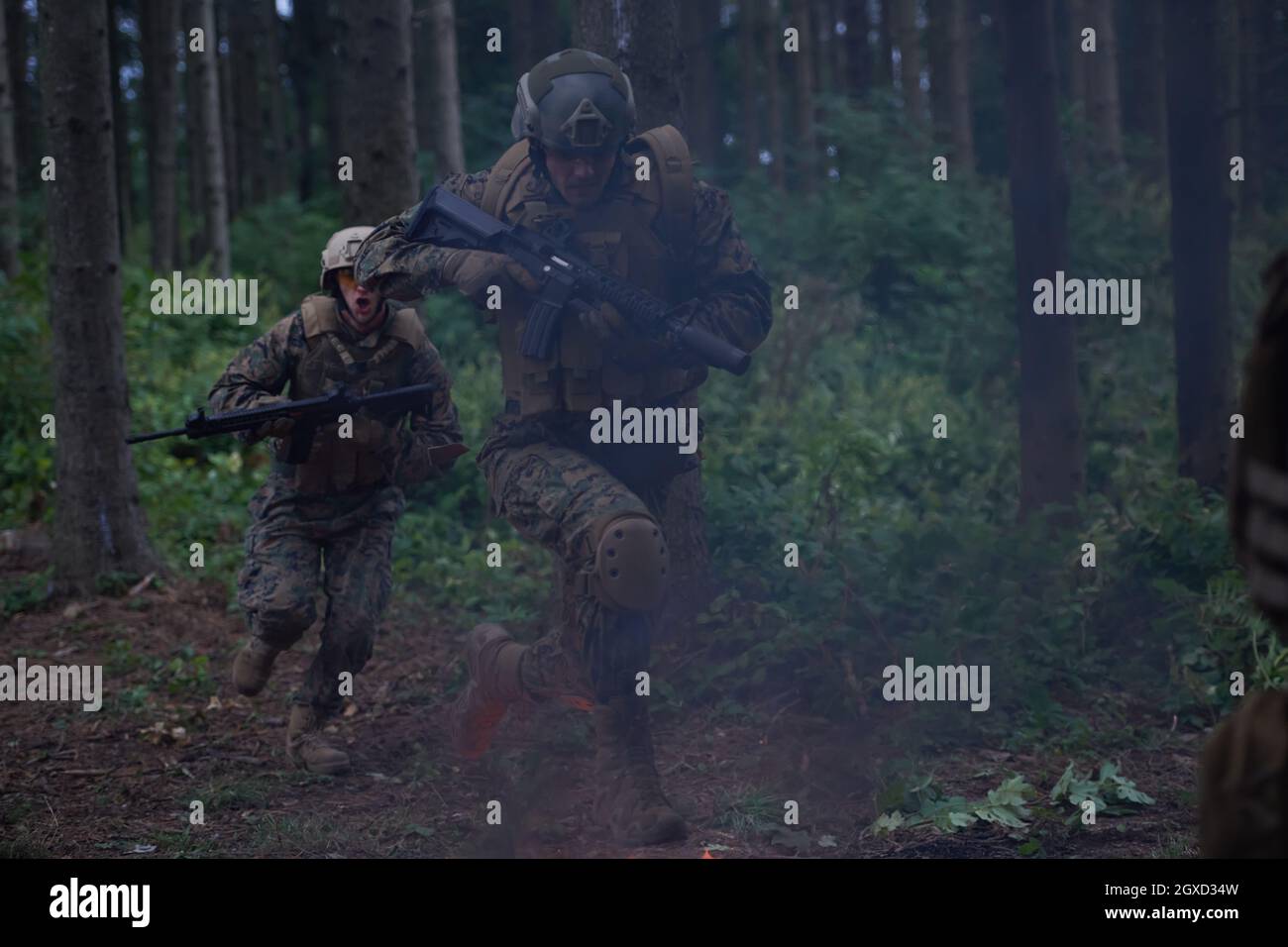 Soldier in Action at Night in the Forest Area. Night Time Military ...