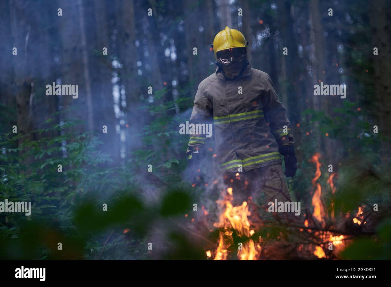 firefighter hero in action danger jumping over fire flame to rescue and ...