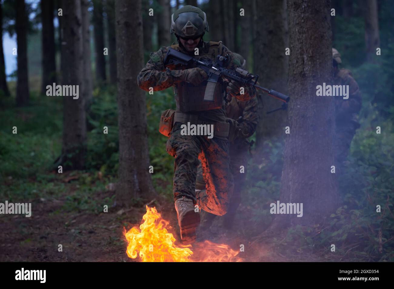 Soldier in Action at Night in the Forest Area. Night Time Military ...