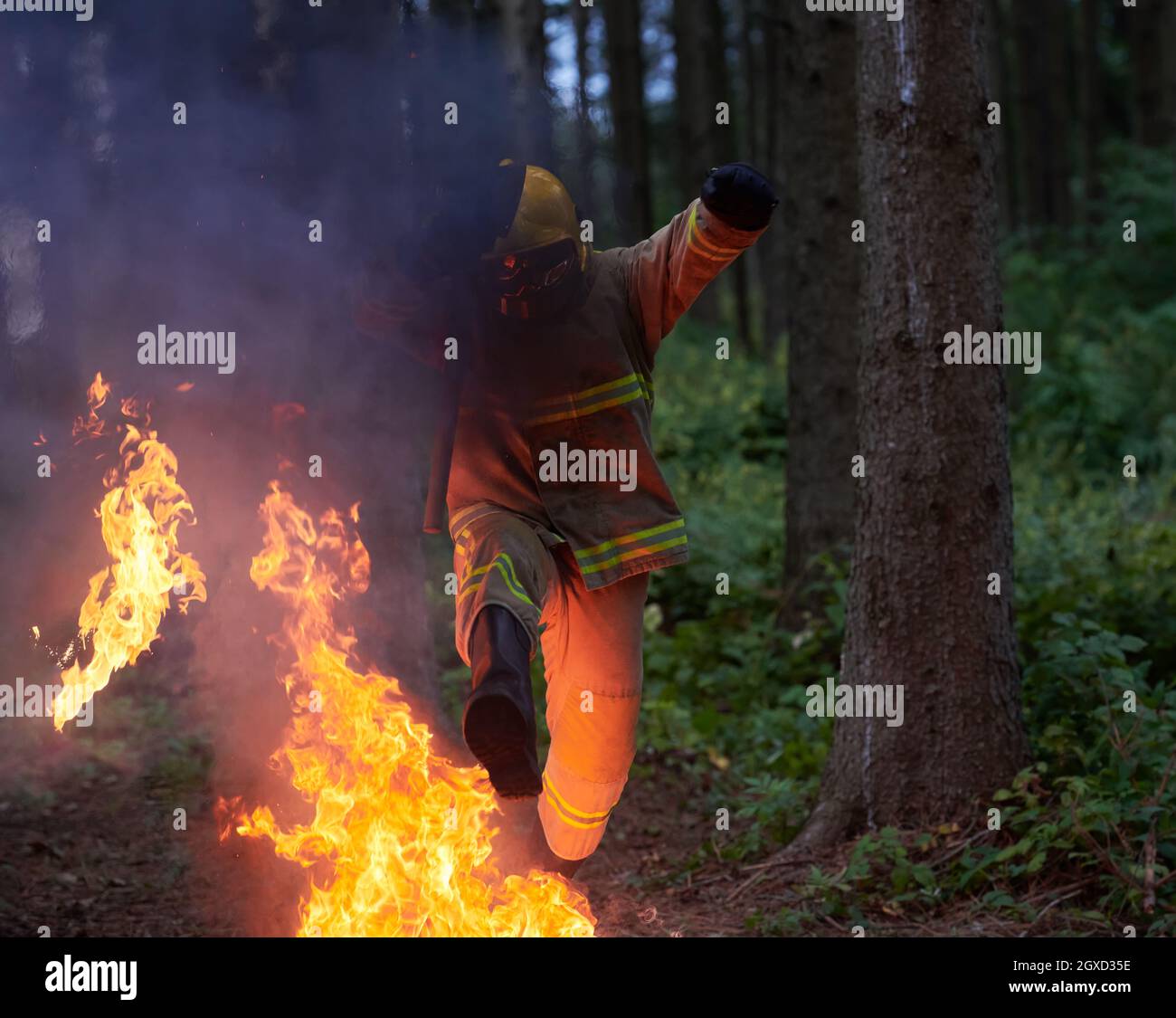 firefighter hero in action danger jumping over fire flame to rescue and ...