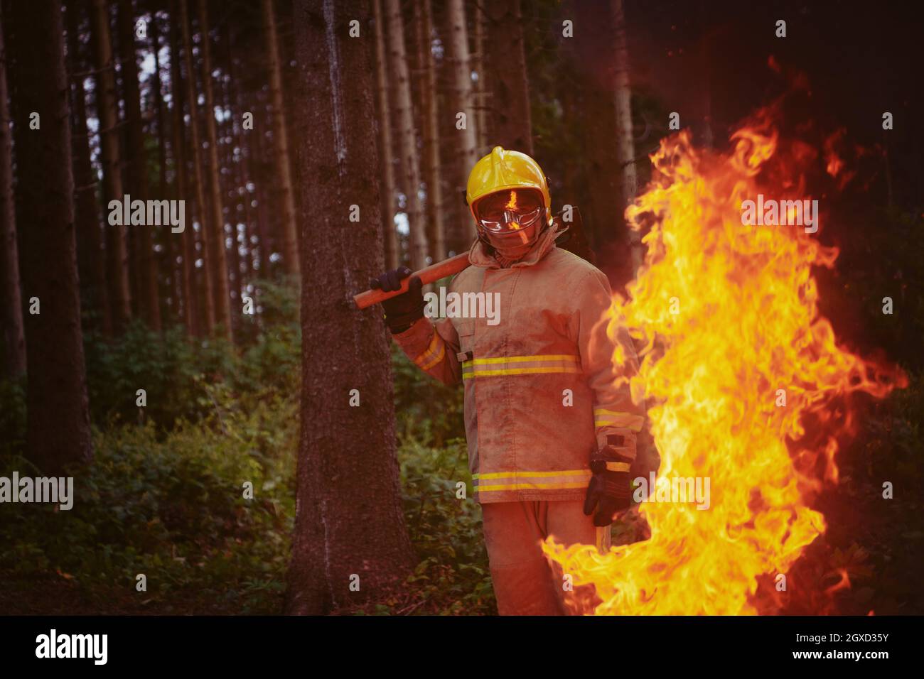 firefighter portrait on authentic fire location in forest Stock Photo ...