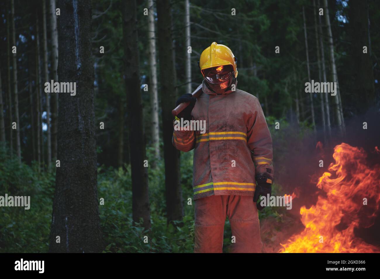 firefighter portrait on authentic fire location in forest Stock Photo ...