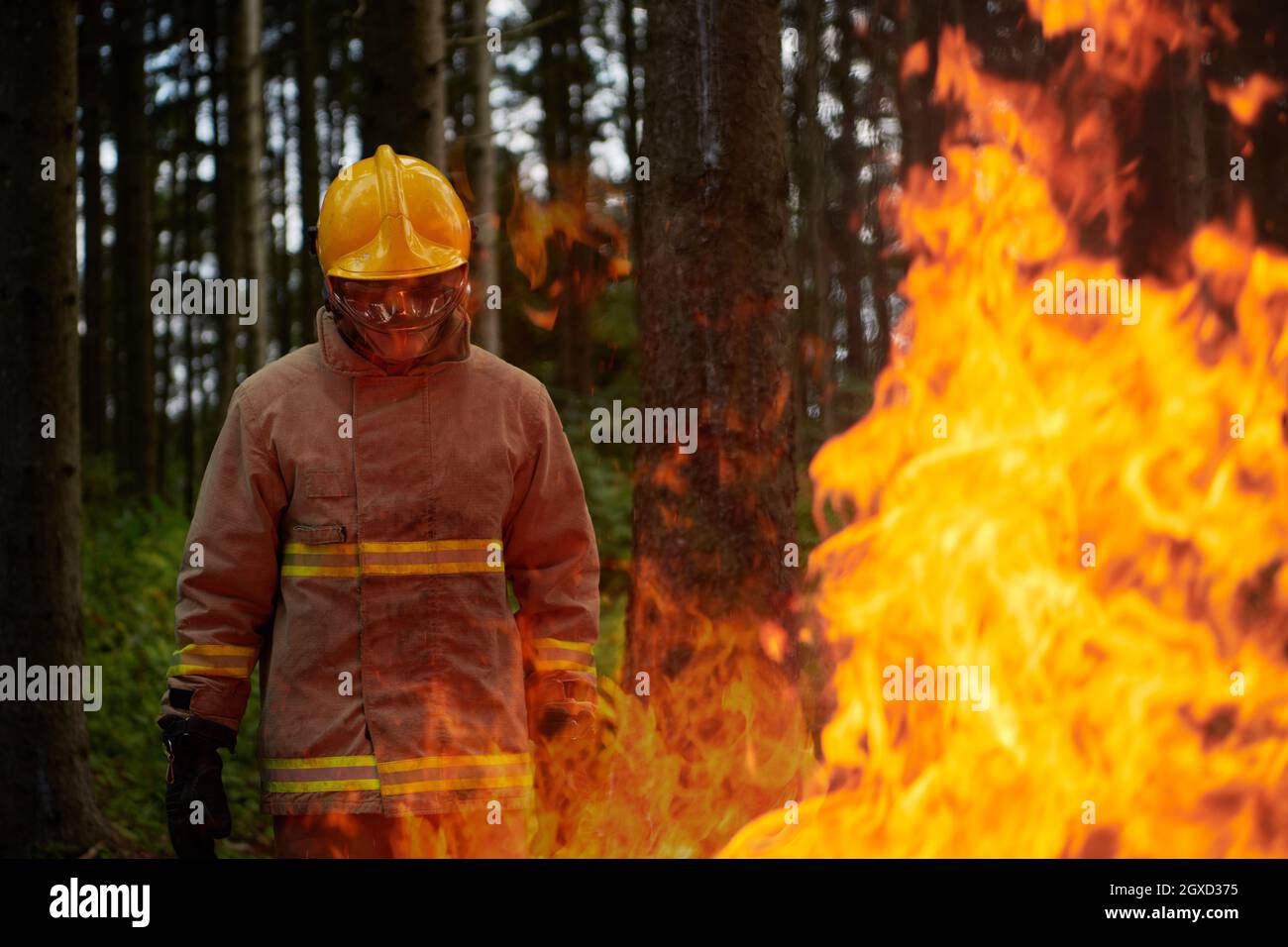 firefighter portrait on authentic fire location in forest Stock Photo ...