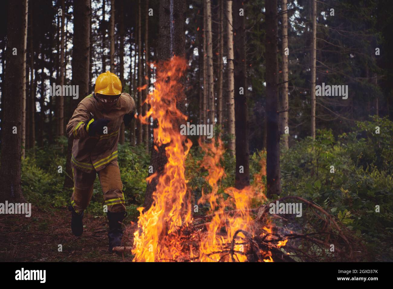 firefighter hero in action danger jumping over fire flame to rescue and ...