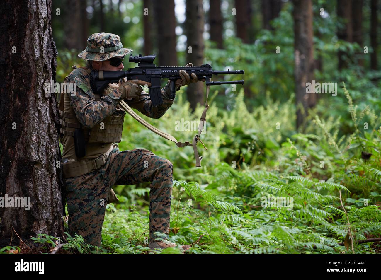 modern warfare soldier in action aiming at weapon laser sight optics in ...