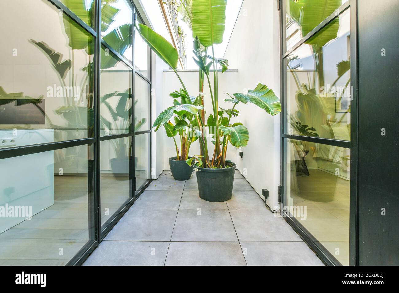 Potted plants in glass house hi-res stock photography and images - Alamy