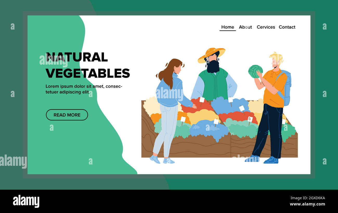 Natural Vegetables Selling Farmer Seller Vector flat Stock Vector Image ...