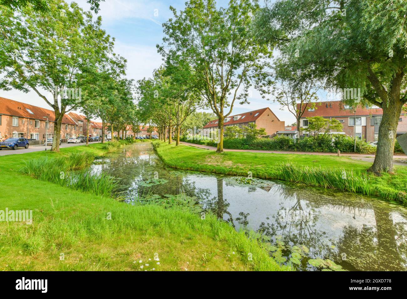 Car parked between trees hi-res stock photography and images - Alamy