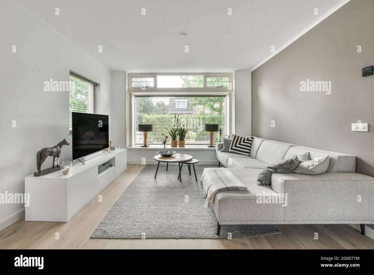 Large comfortable sofa placed opposite TV in spacious living room with ...