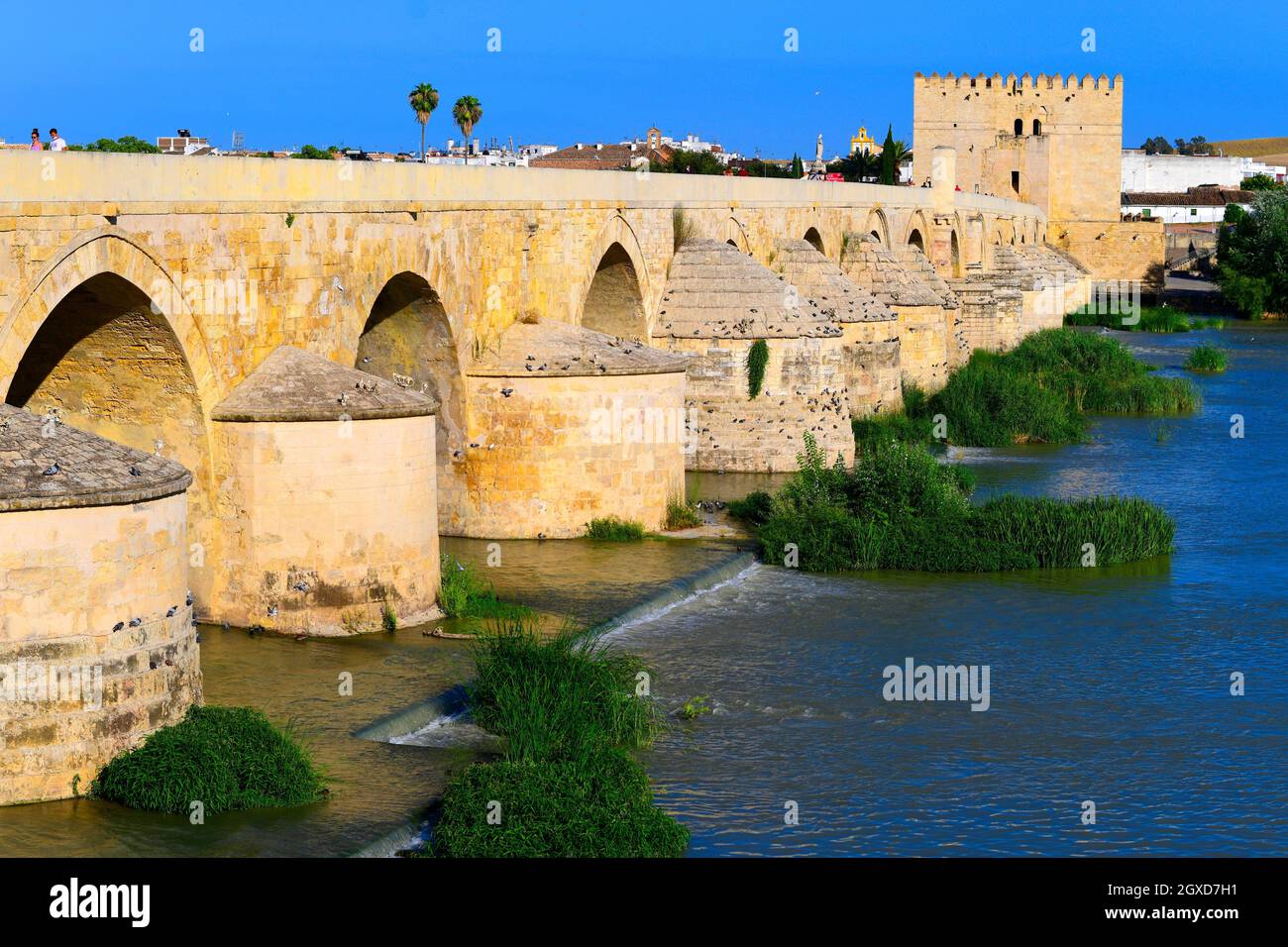 Puente Romano bridge, Cordoba, Andalusia,Spain Stock Photo - Alamy