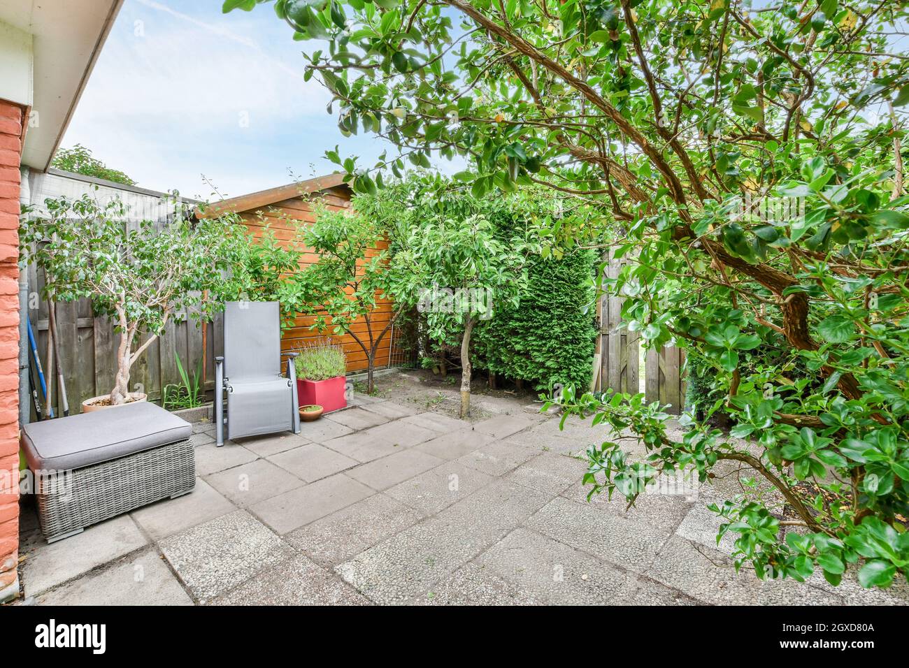 Exterior of modern residential house with trees and potted plants ...